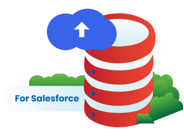 Data Backup And Recovery Application For Salesforce Dataarchiva